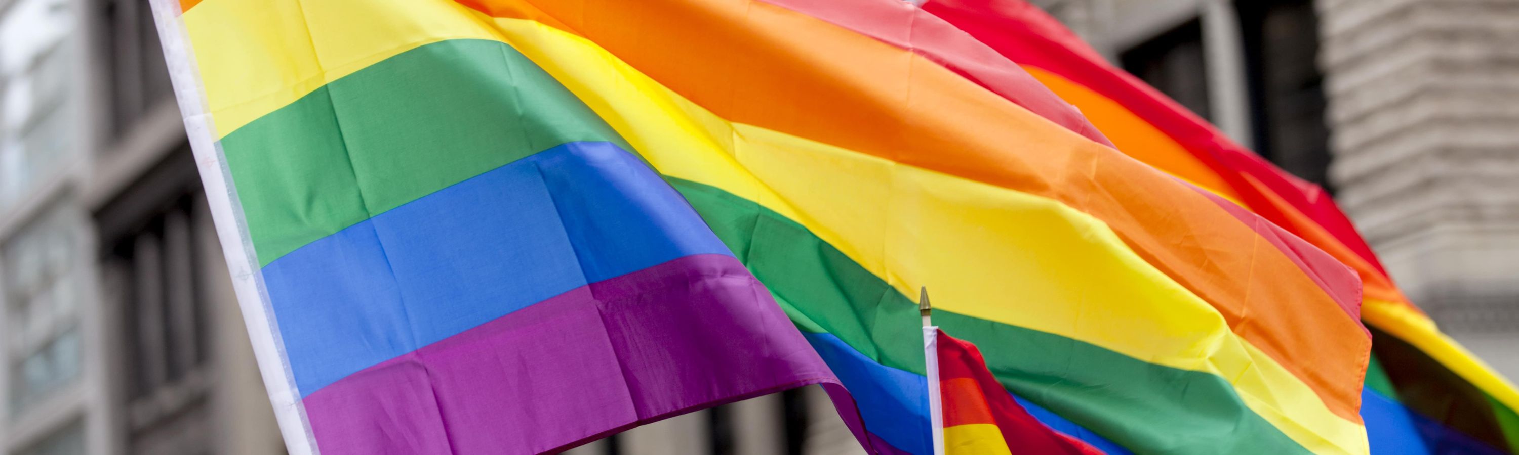 Embracing Identity: Insights from LGBTQ+ CMOs - Egon Zehnder